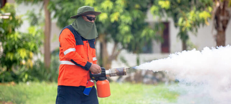 What is a Mosquito Fogger? (Different Types and Uses)